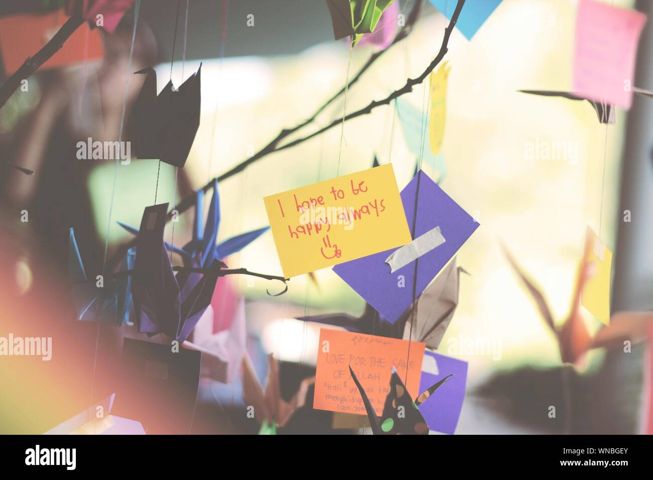 Hanging Artwork High Resolution Stock Photography and Images - Alamy