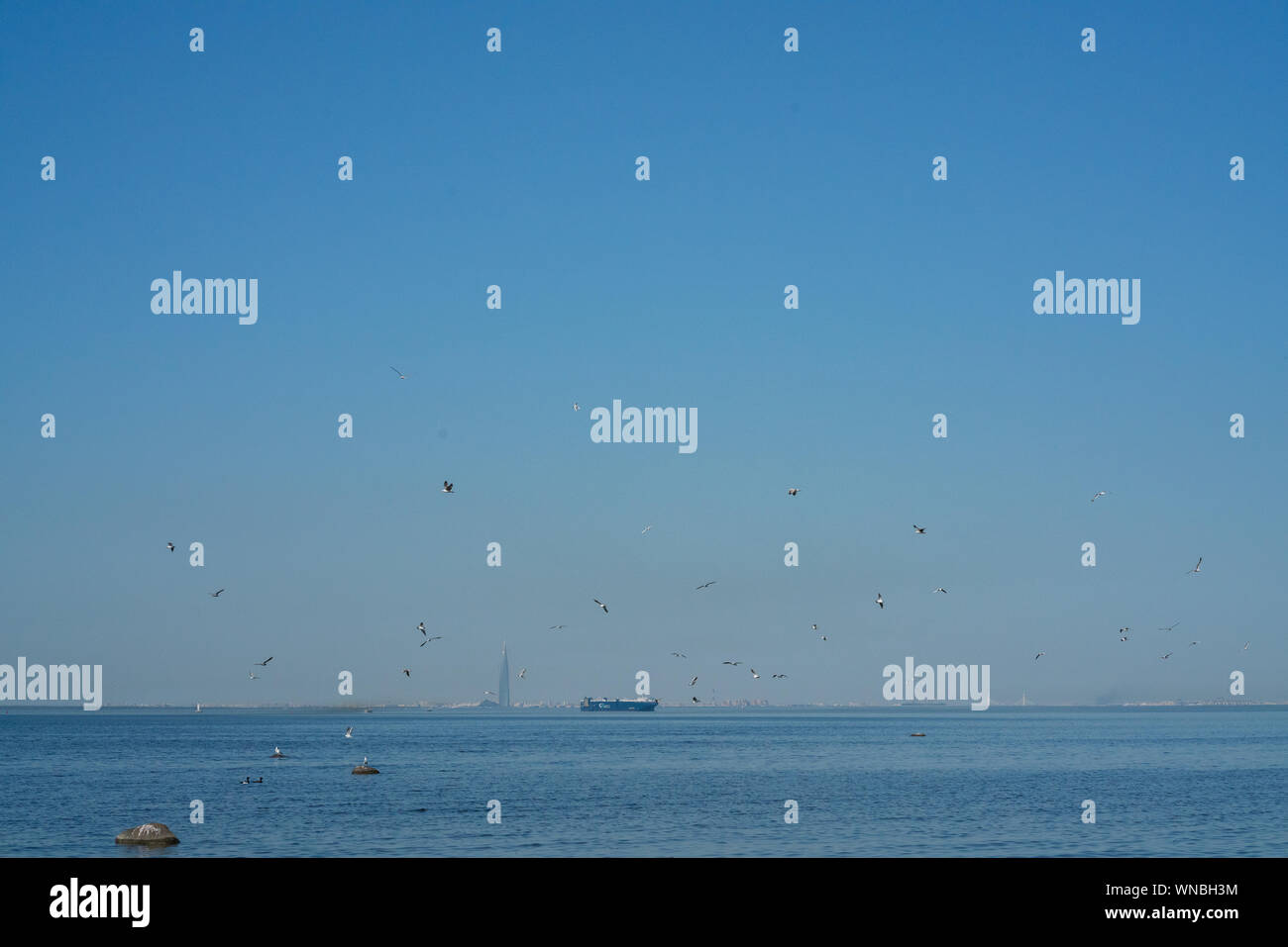 hot nature in the summer with blue sky and water freedom Stock Photo ...