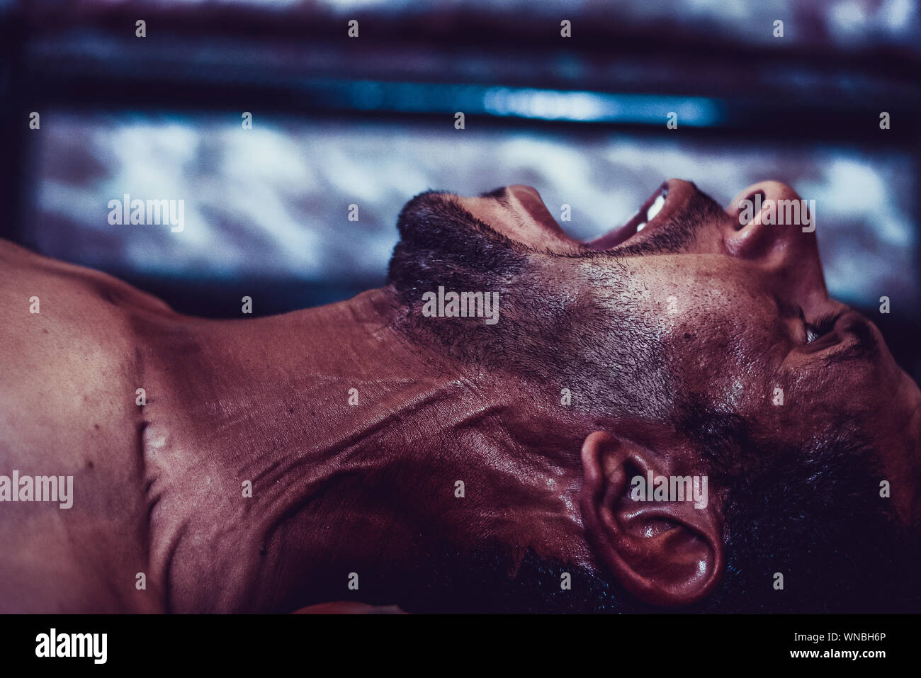 Man Screaming High Resolution Stock Photography and Images - Alamy