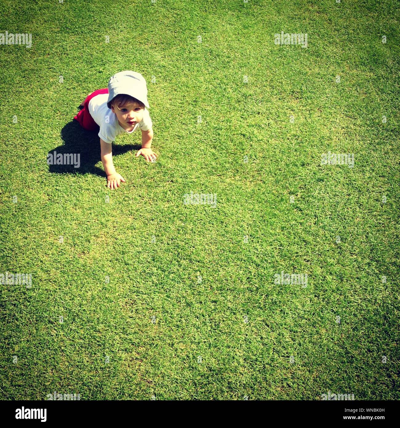 Crawling baby back view hi-res stock photography and images - Alamy