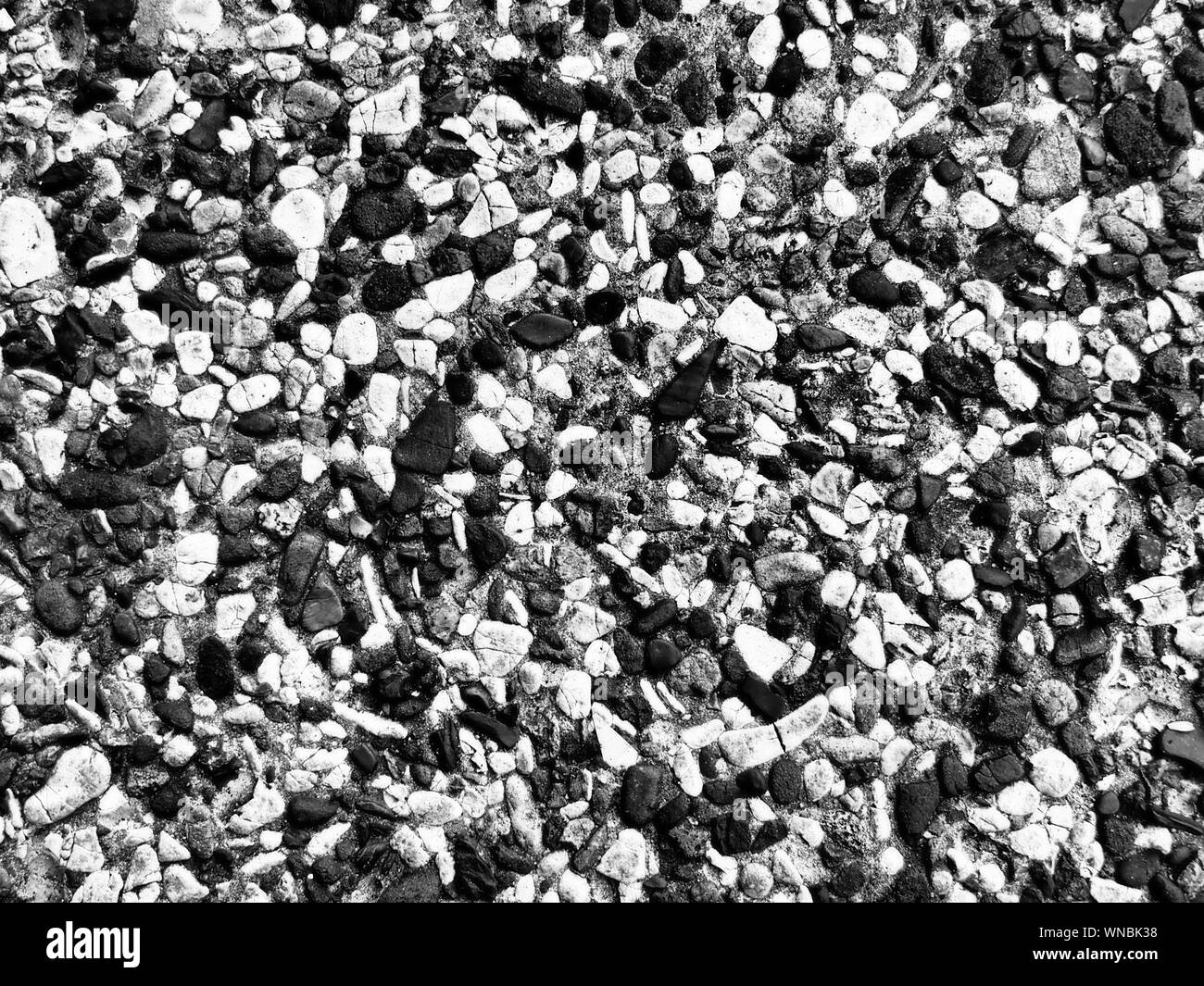Pebbles detail Black and White Stock Photos & Images - Alamy