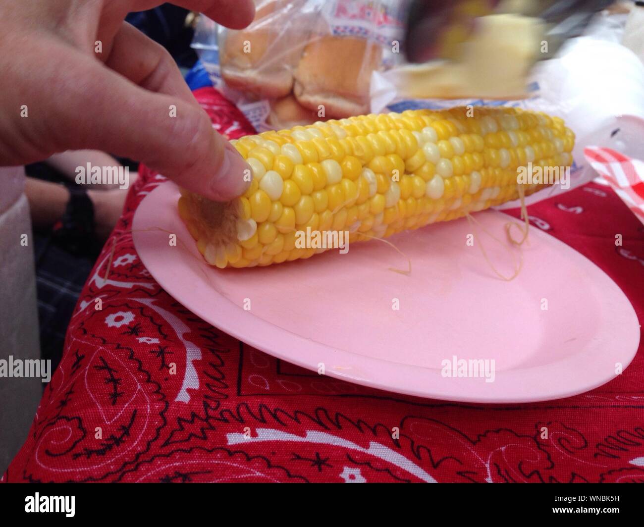Hand corn hi-res stock photography and images - Alamy