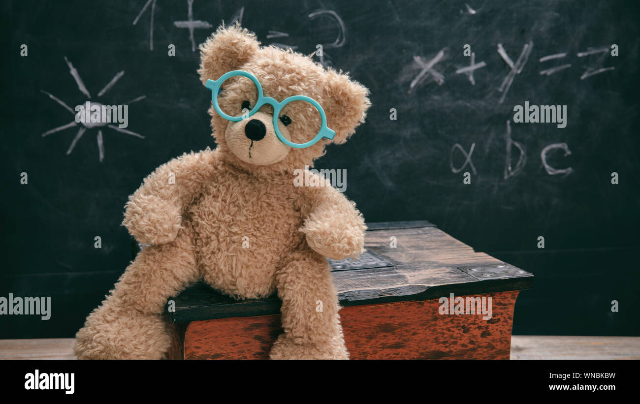Back to school, knowledge concept. Smart kid, cute teddy wearing ...