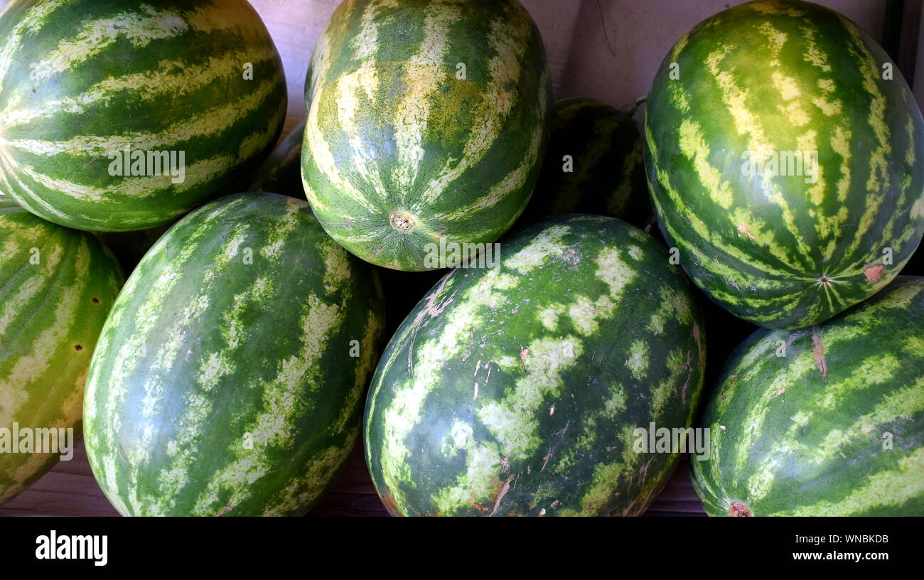 water melon, colorful, many photos, many colors, abstract background ...