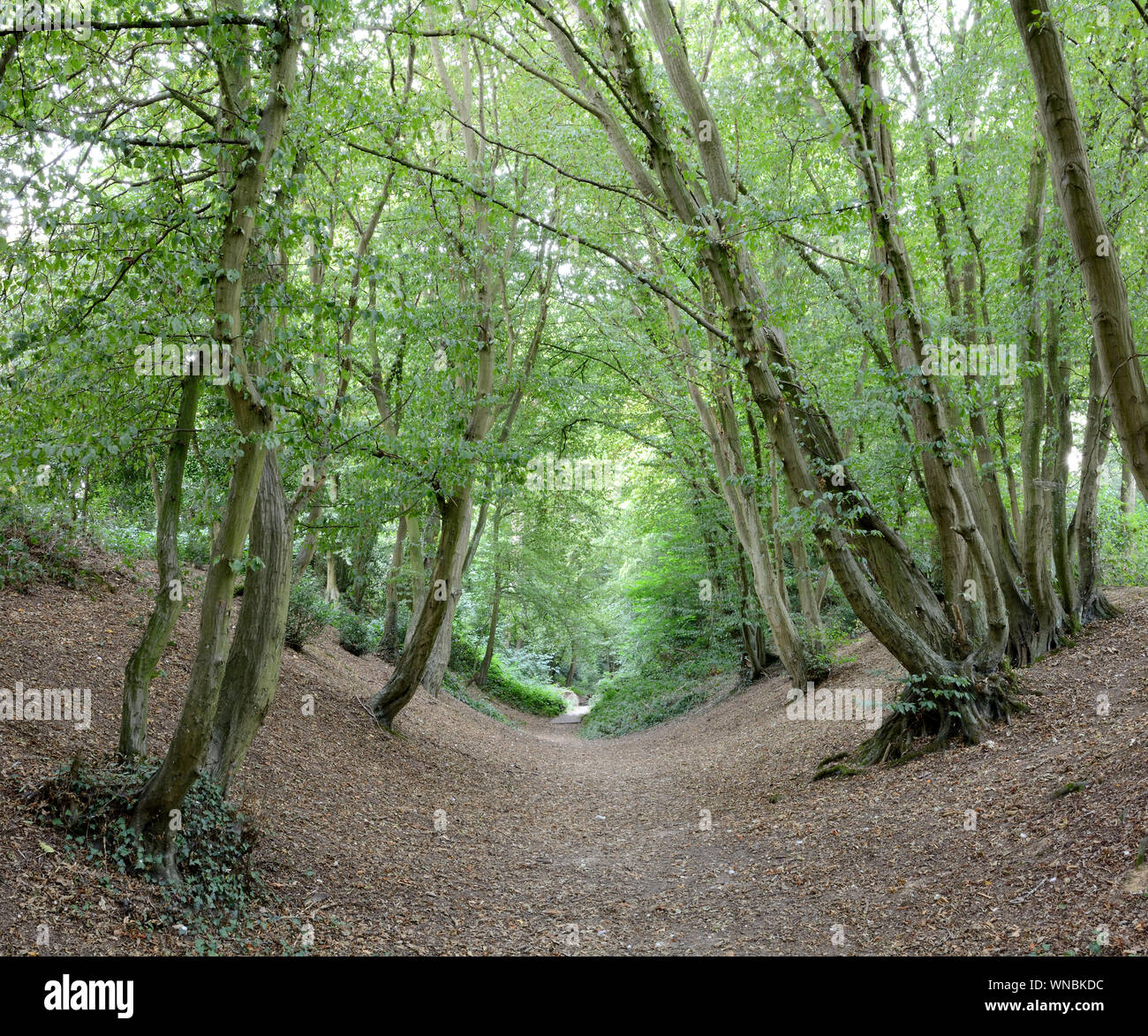 Tempsford hi-res stock photography and images - Alamy