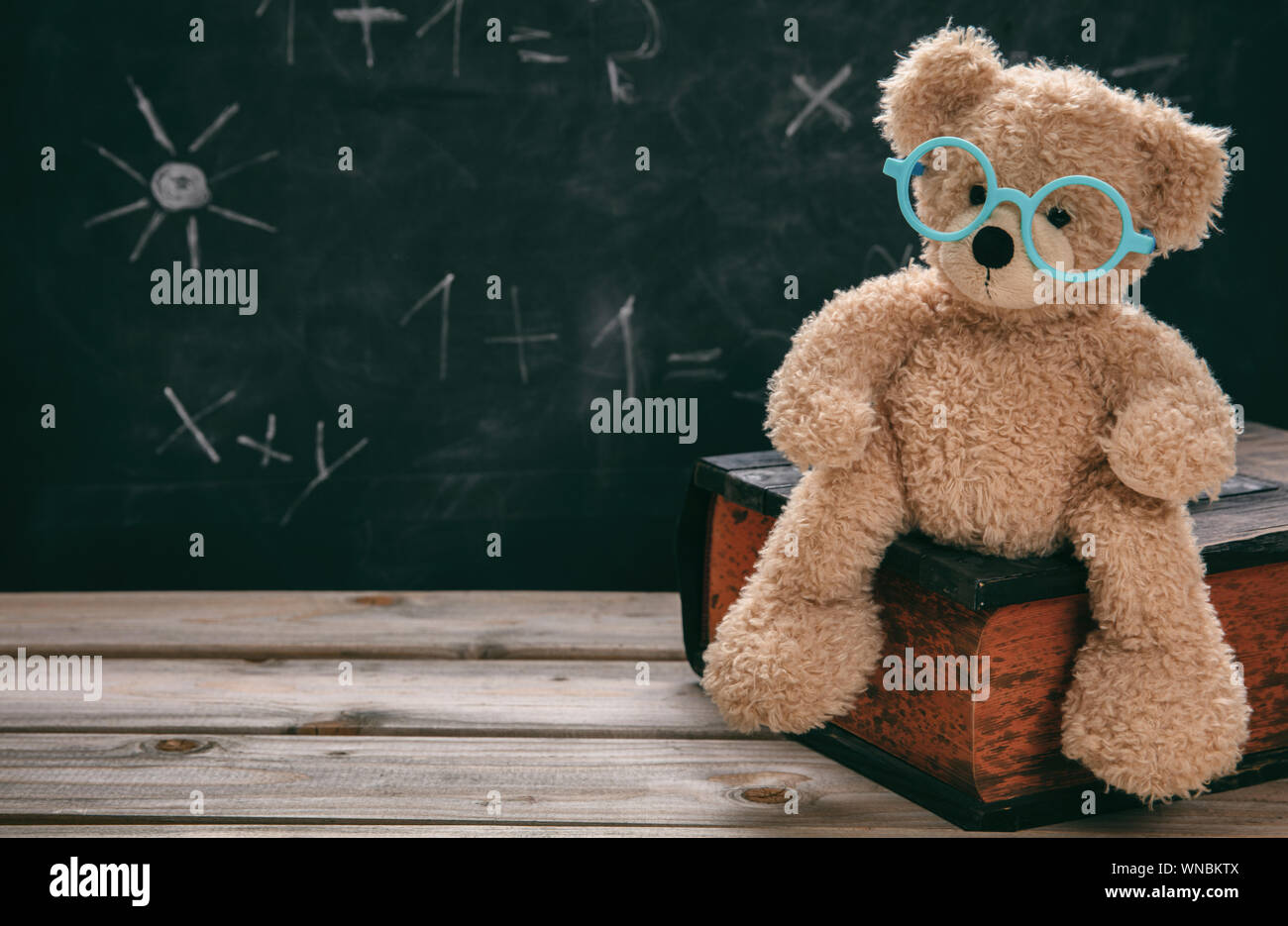 Back to school, knowledge concept. Smart kid, cute teddy wearing ...
