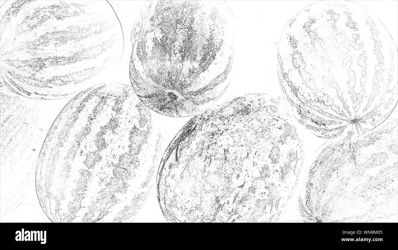 water melon, colorful, many photos, many colors, abstract background ...