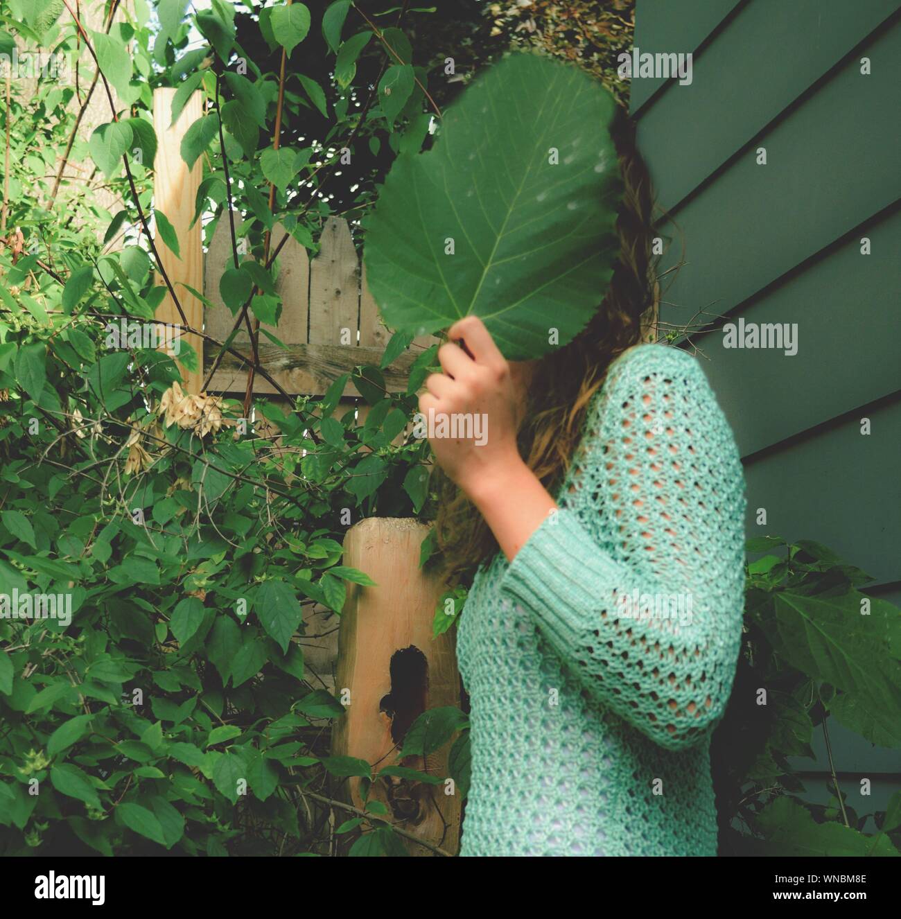 Face back hi-res stock photography and images - Alamy