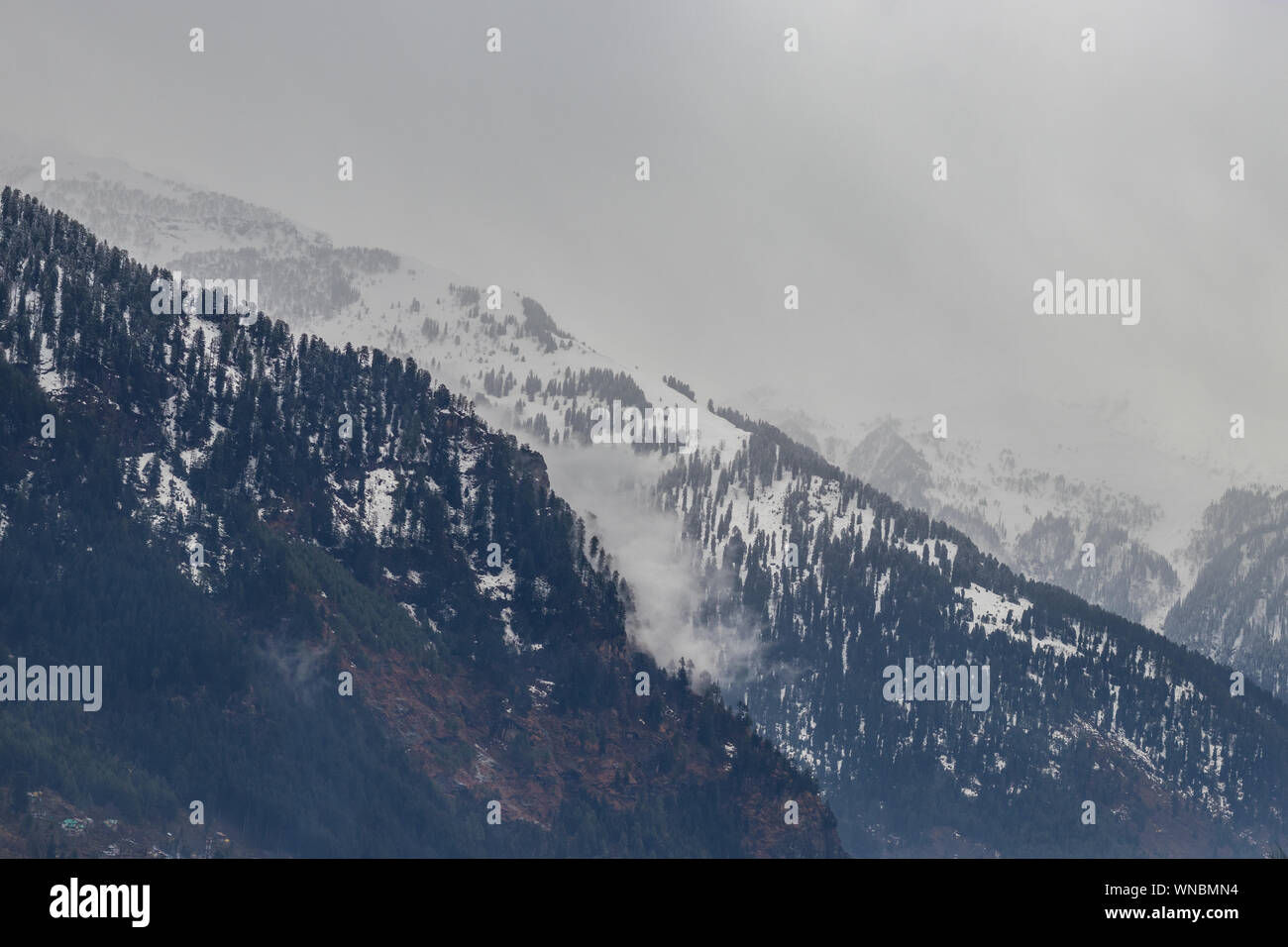 Snow at hills with tree and sky image is taken at manali india showing ...