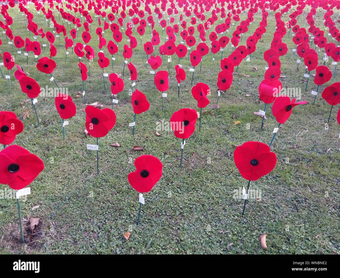 Anzac_day hi-res stock photography and images - Alamy