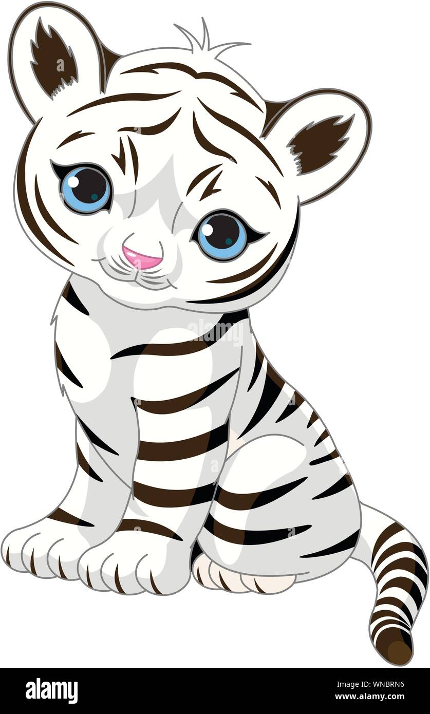 White Tigers Cubs Drawings