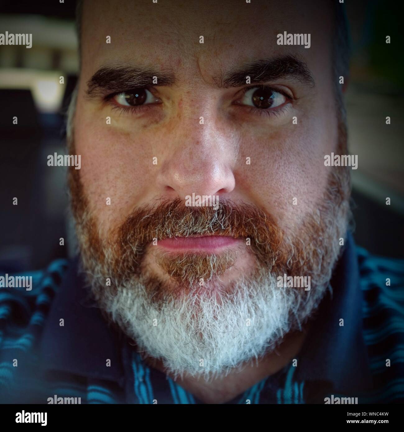Close up looking at camera confidence beard hi-res stock photography ...
