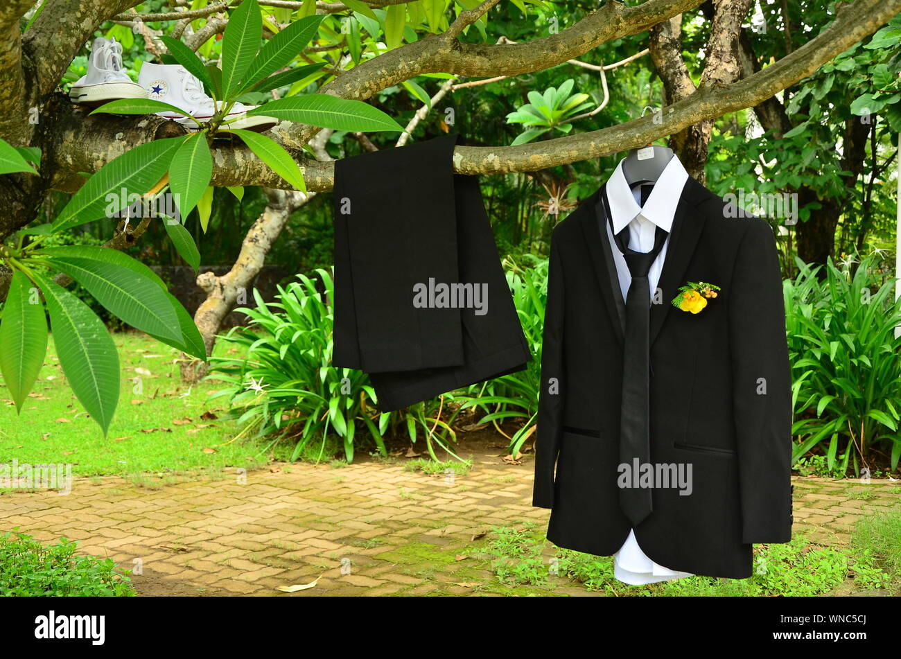 Green pant suit hi-res stock photography and images - Alamy