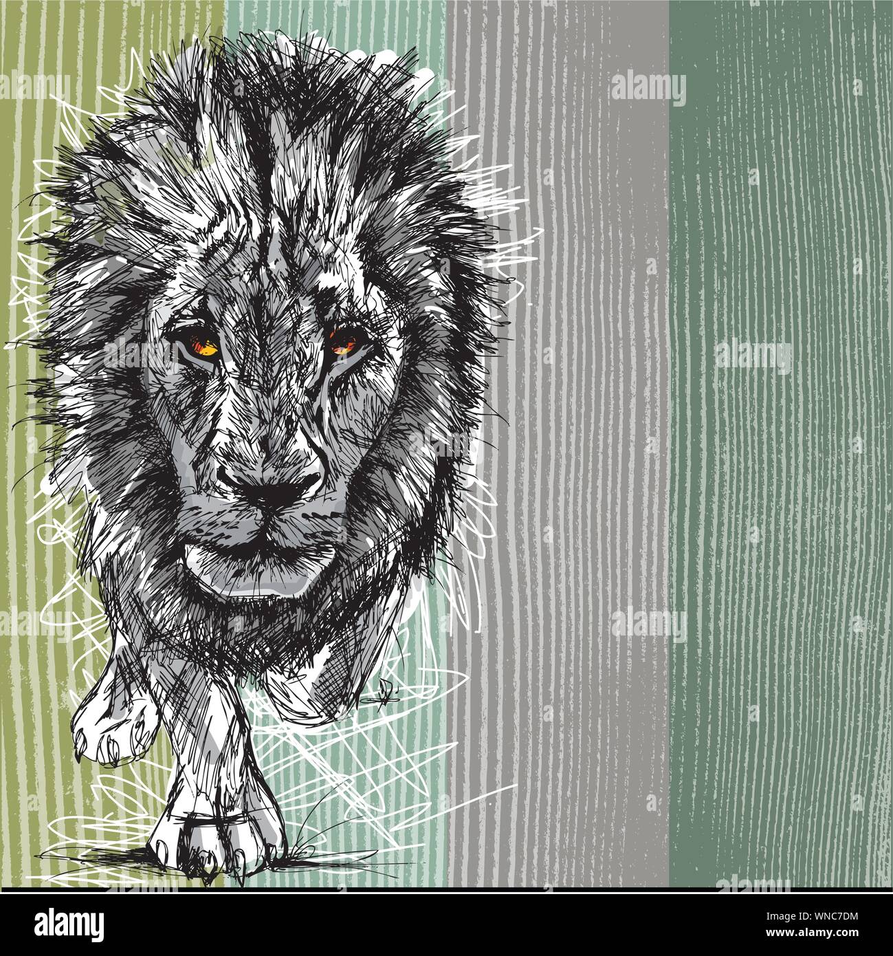 Sketch of a big male African lion Stock Vector Image & Art - Alamy