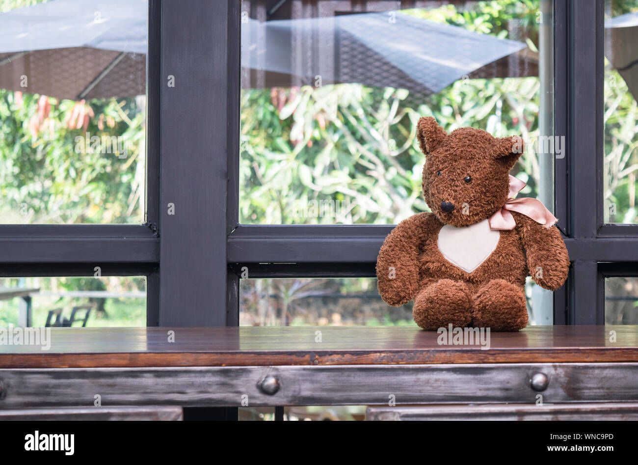 Teddy bear window hi-res stock photography and images - Alamy
