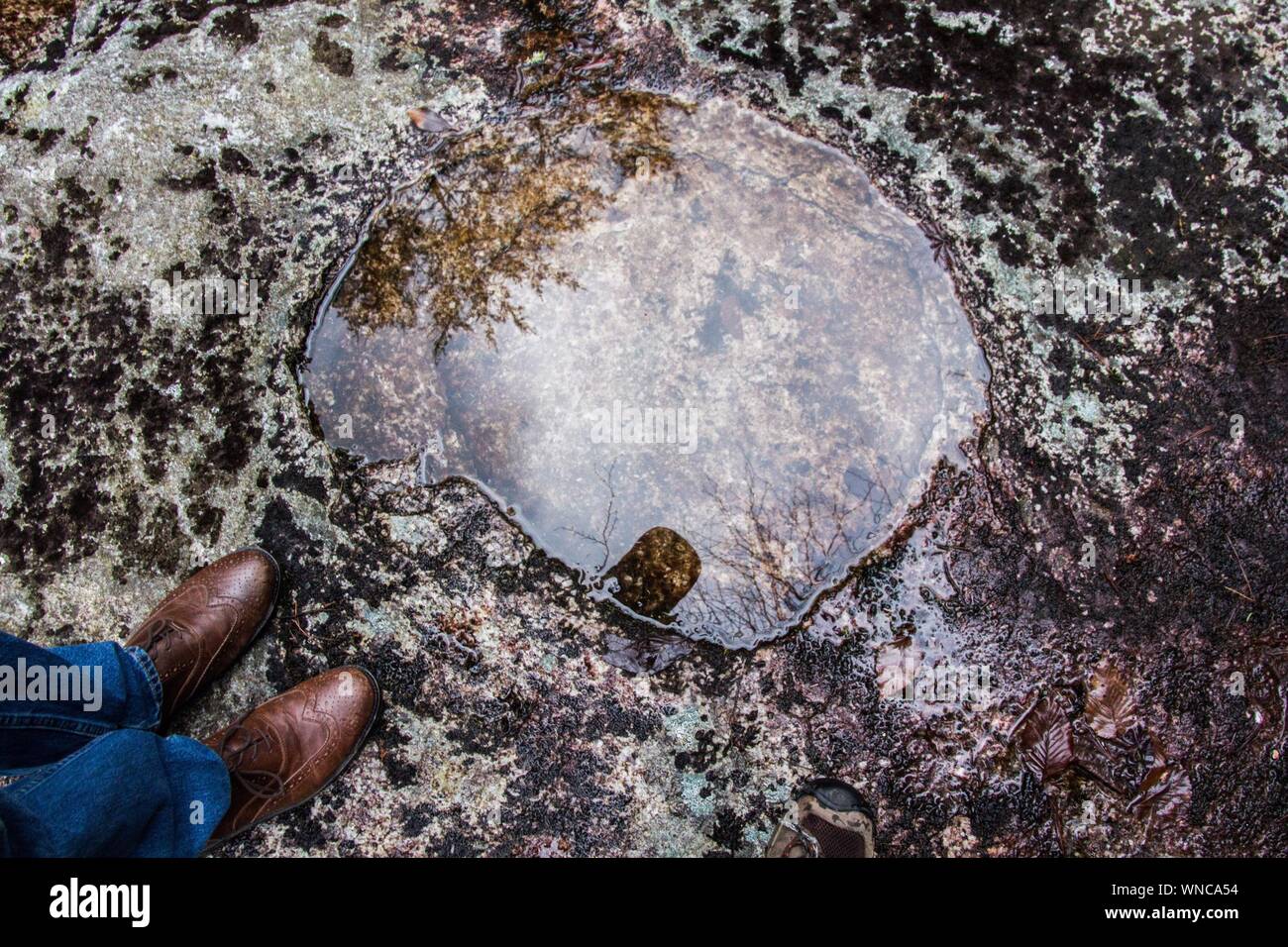 Puddle On Rock High Resolution Stock Photography and Images - Alamy