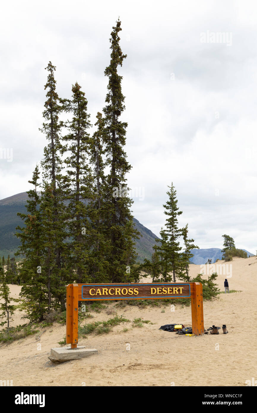 Sign for the Carcross Desert in the Yukon, Canada. The arid landscape ...