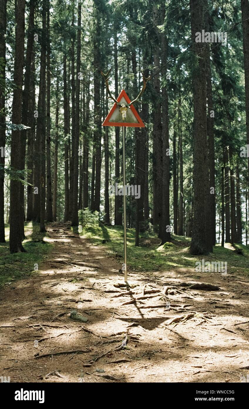 Extreme forest fire warning sign hi-res stock photography and images ...