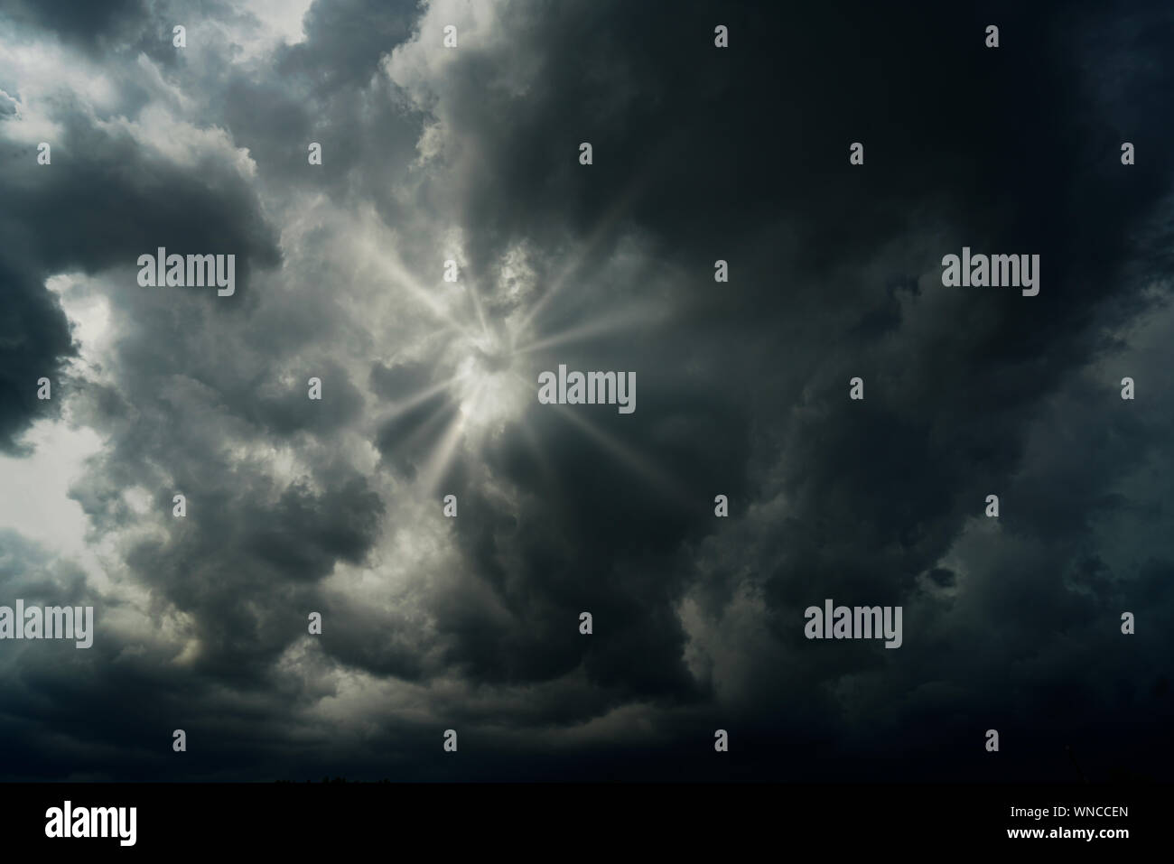 June sunlight hi-res stock photography and images - Alamy