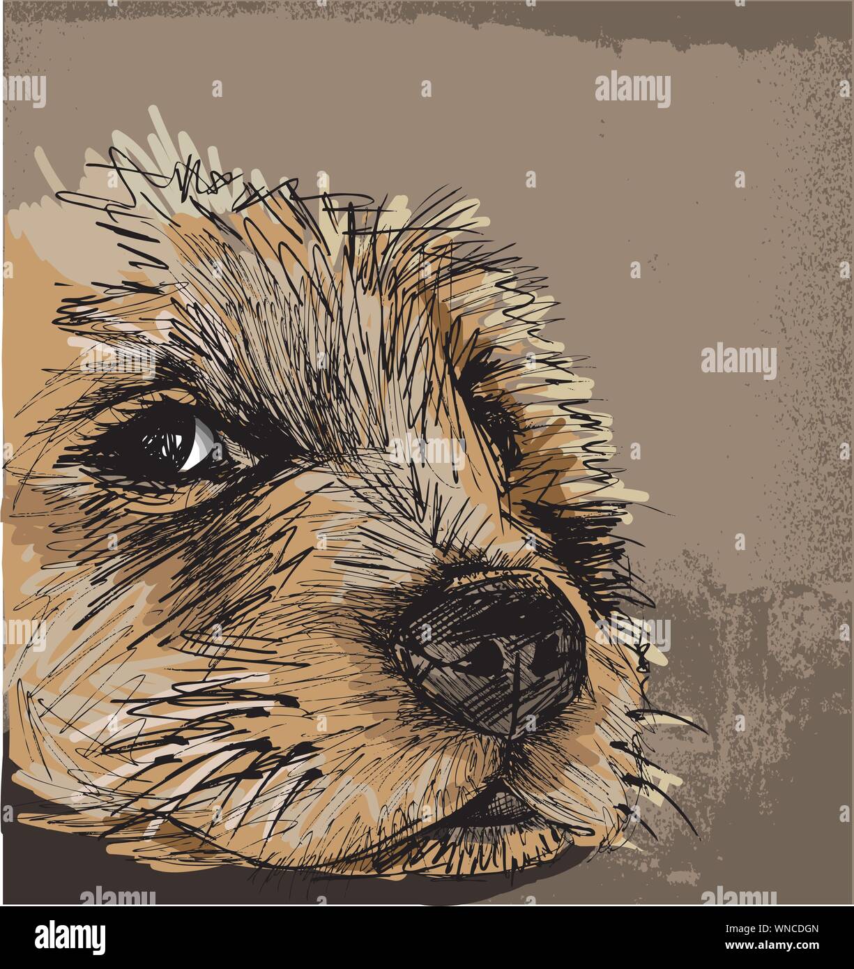 Sketch of a dog Stock Vector Image & Art - Alamy