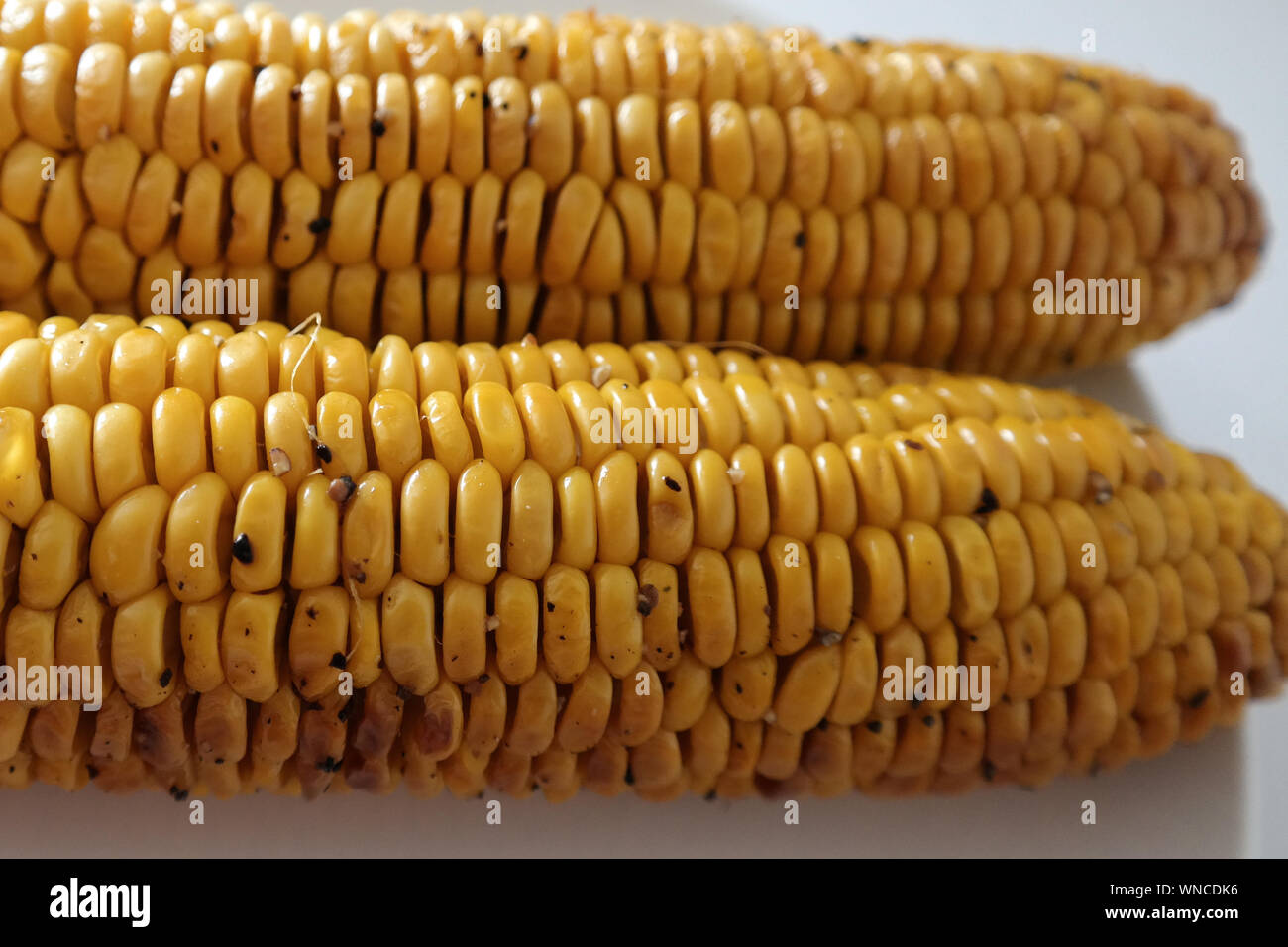 Color corn hi-res stock photography and images - Alamy