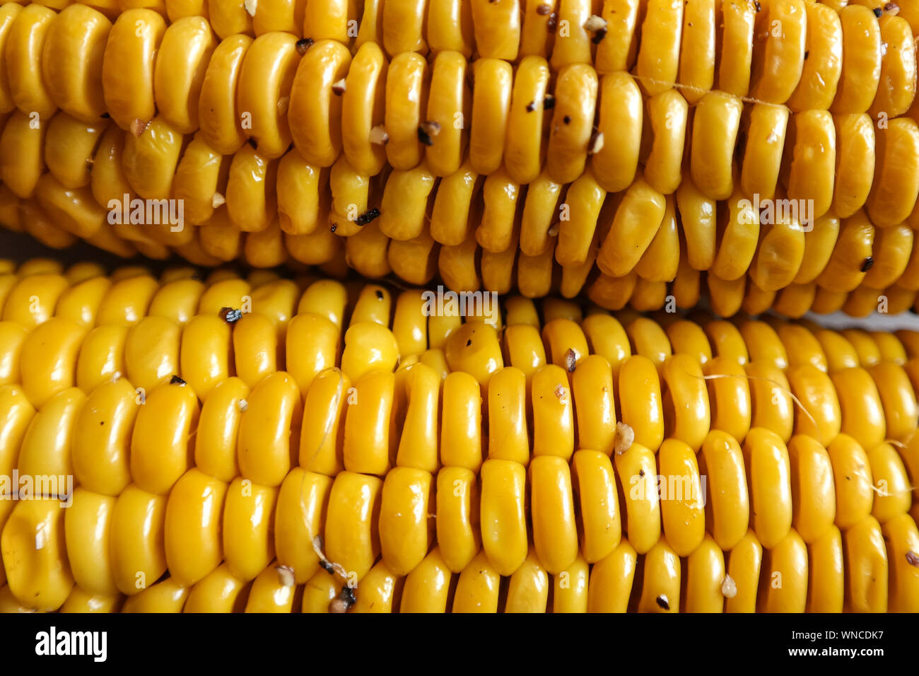 Grilled corn close up, yellow color, corn with spices up close Stock ...