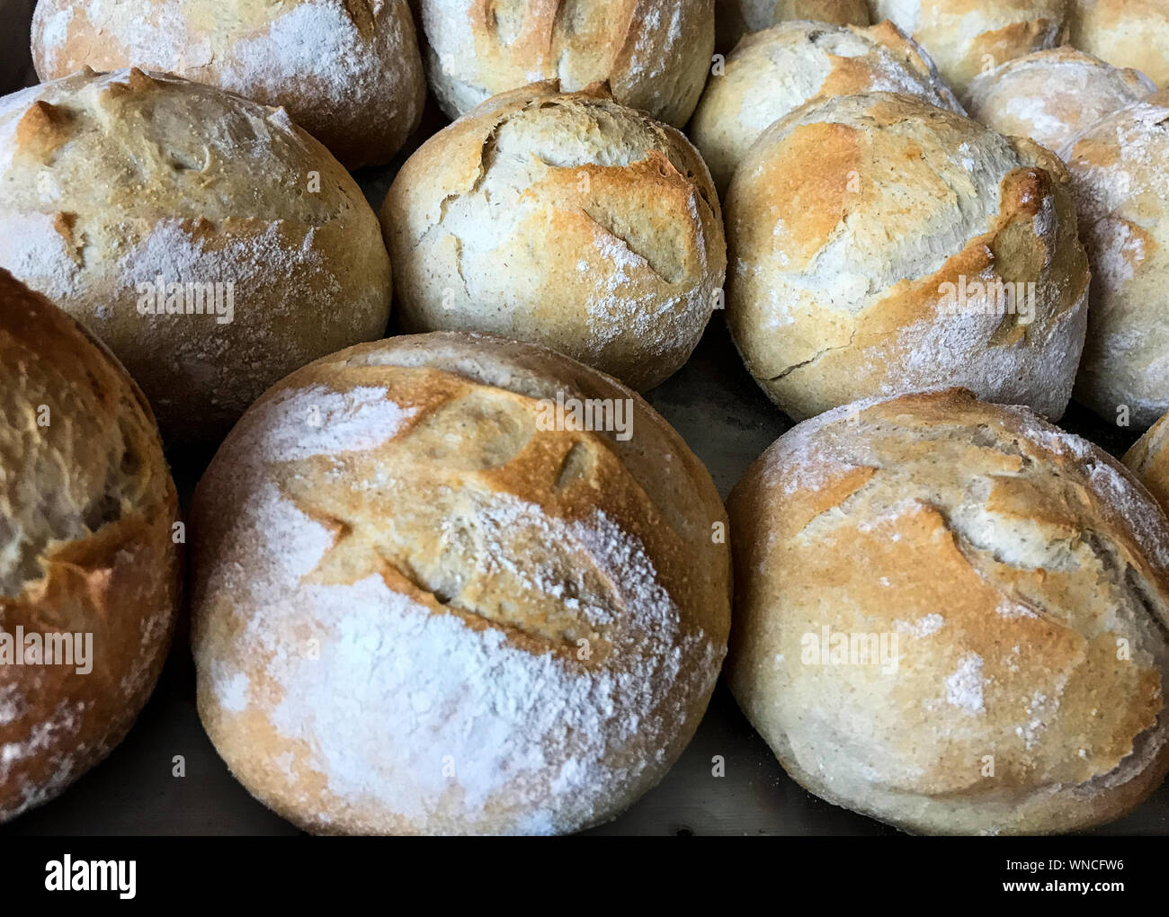 Panama bun hi-res stock photography and images - Alamy