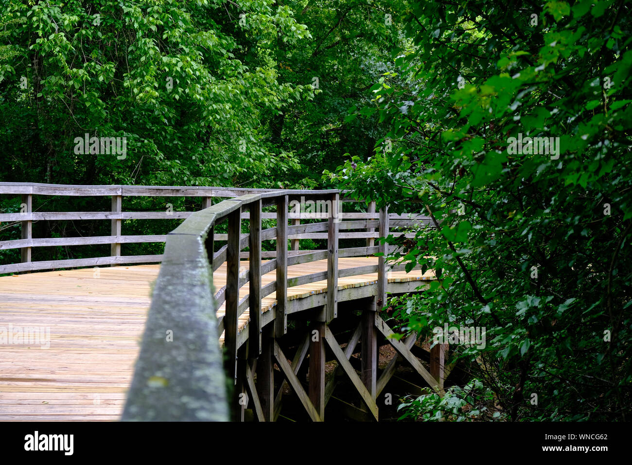 An Old Wooden Footbridge through a Forest Stock Photo - Alamy