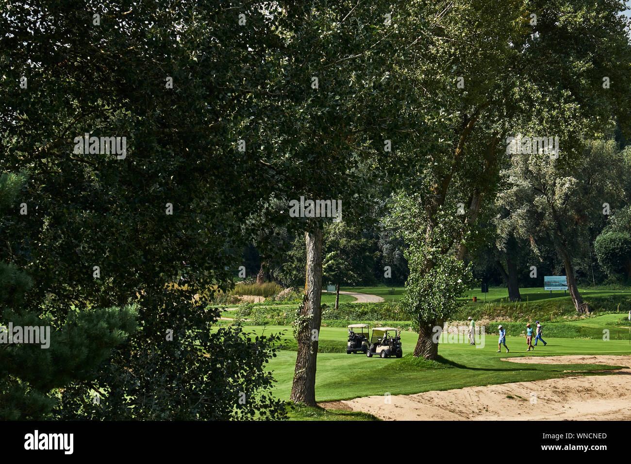 Trees by golf course High Resolution Stock Photography and Images - Alamy