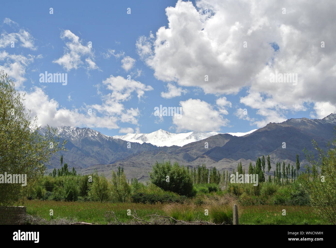 The Shey Monastery or Gompa and the Shey Palace complex are structures ...