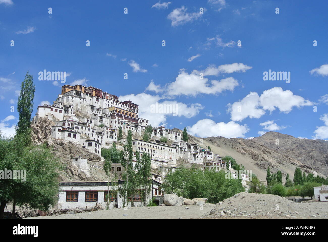 The Shey Monastery or Gompa and the Shey Palace complex are structures ...