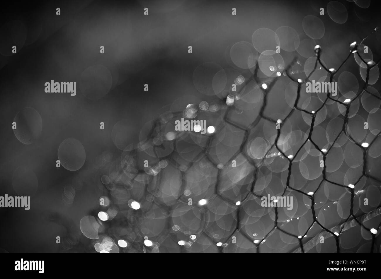 Net image Black and White Stock Photos & Images - Alamy