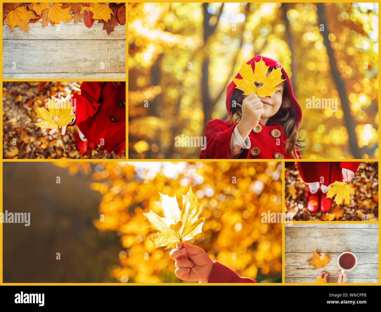Collage and autumn children's photos. Selective focus Stock Photo - Alamy