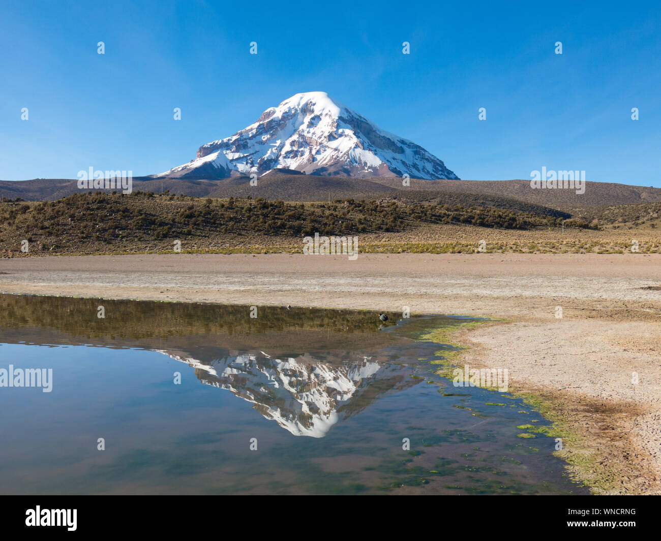 Sajama volcano and its reflection in the waters of Lake Huanacota ...