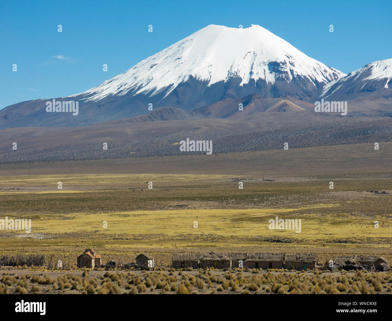 Shrublands biome hi-res stock photography and images - Alamy