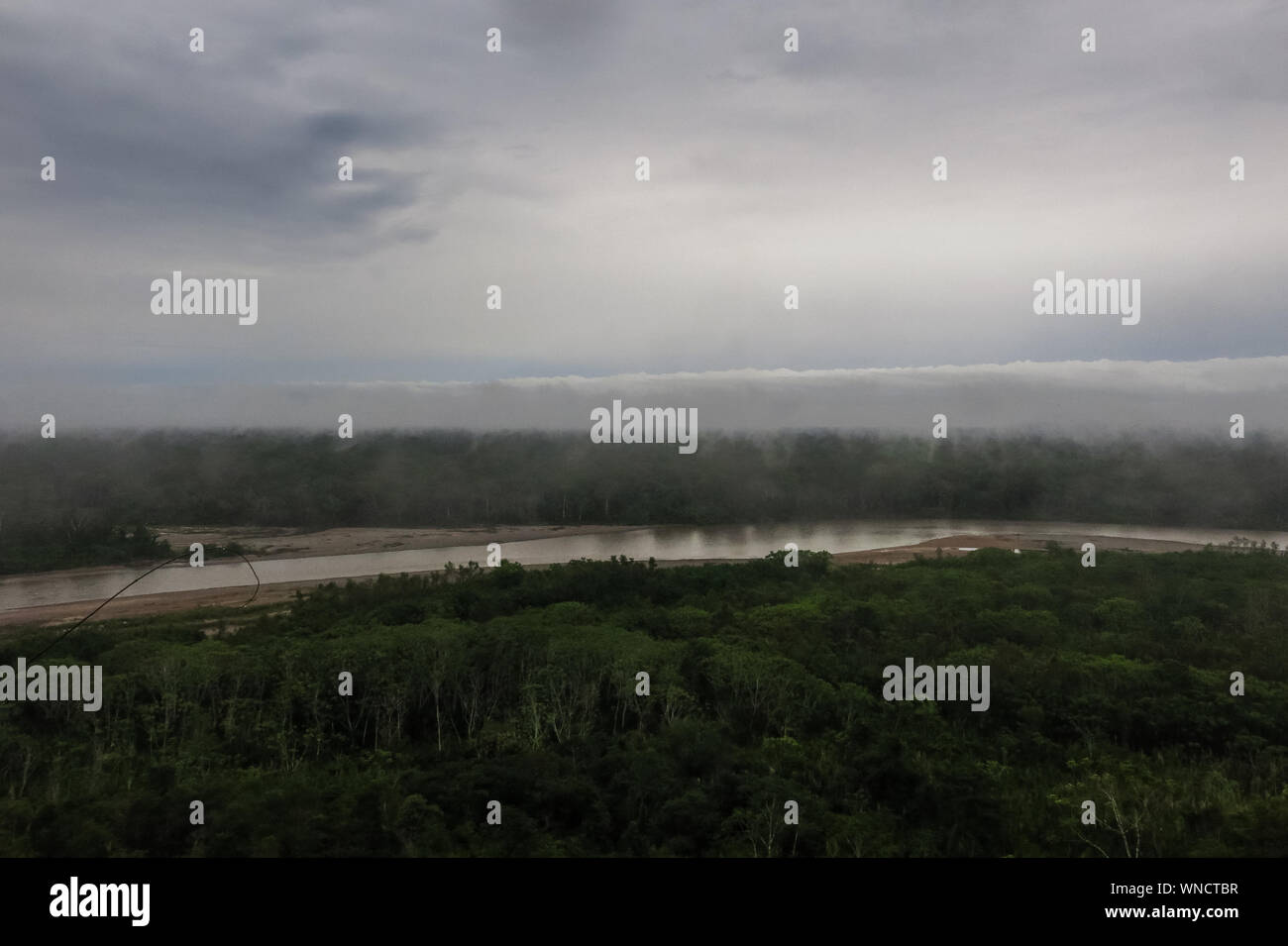 Image of the Beni river, with tropical rain forest in the background ...