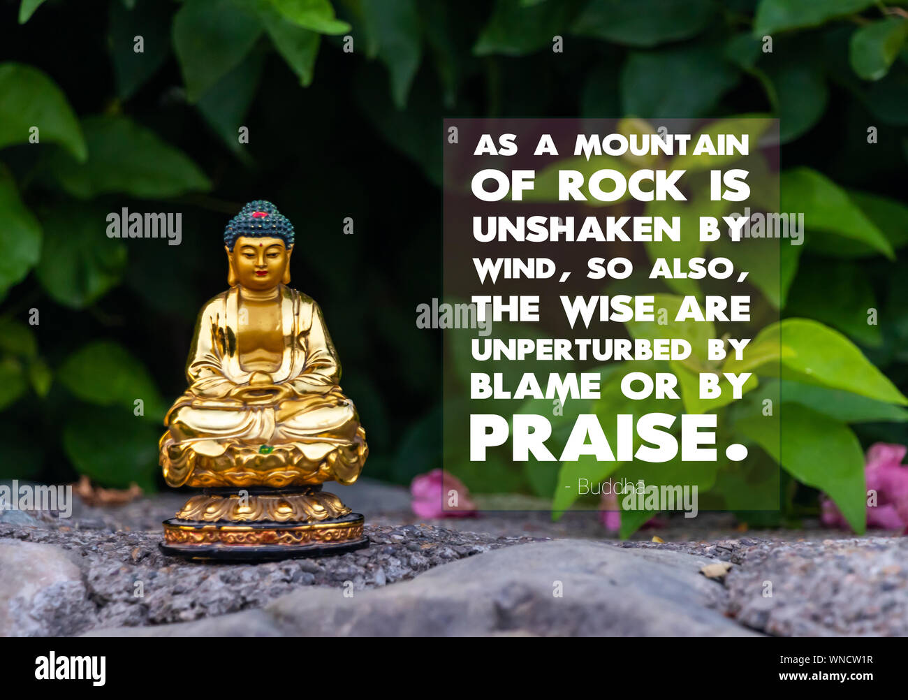 Praise and worship quotes hi-res stock photography and images - Alamy