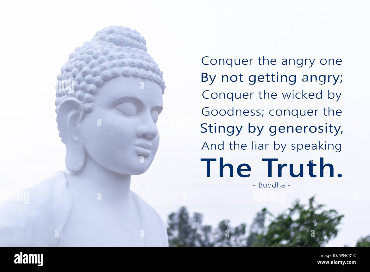 Conquer the angry one by not getting angry; conquer the wicked by ...