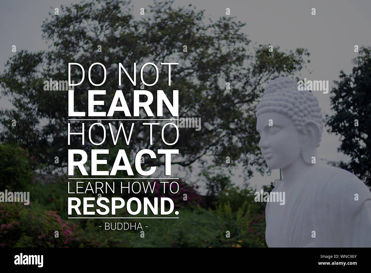 Do not learn how to react learn how to respond - buddha Stock Photo - Alamy
