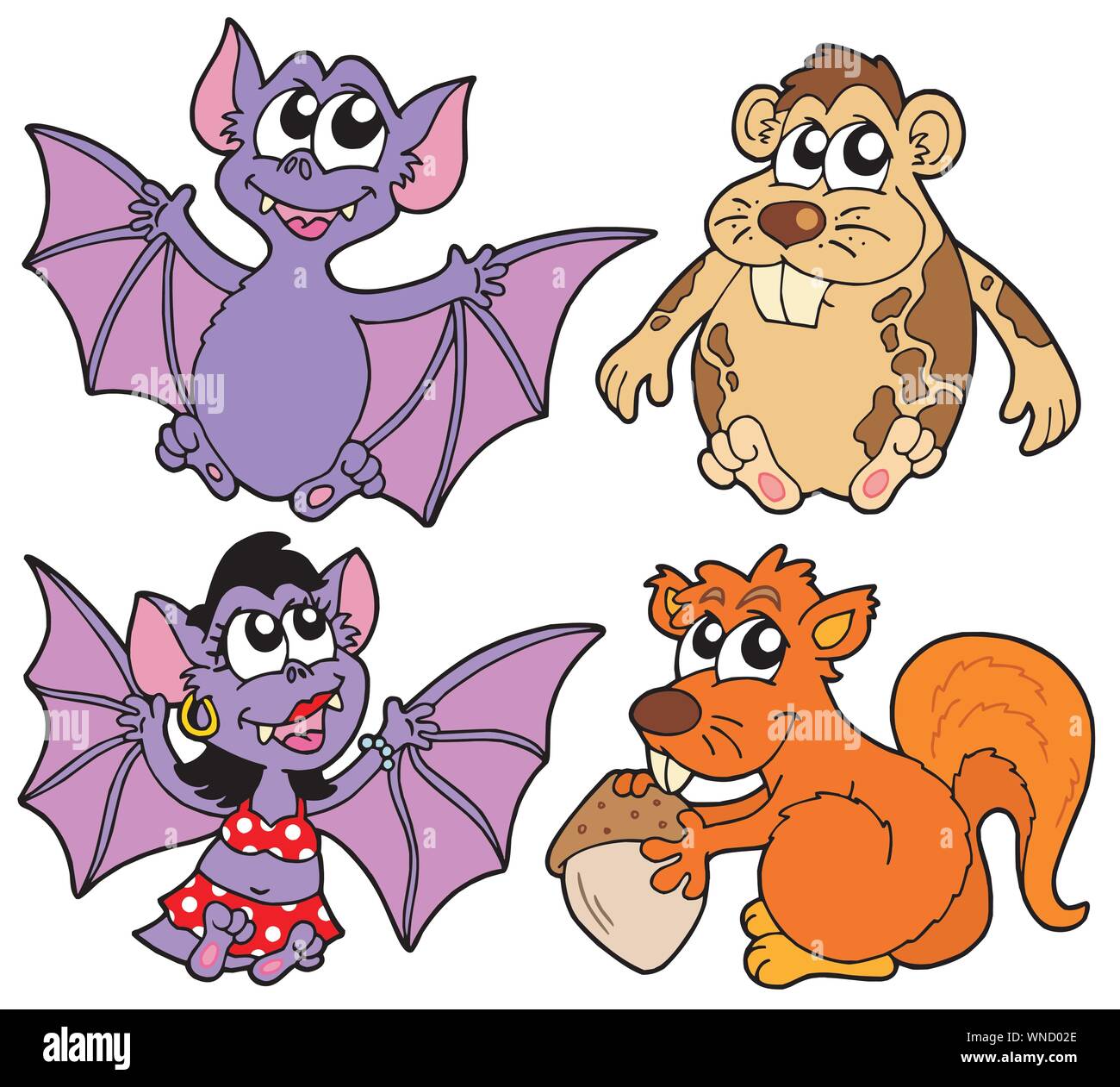 Various cute small animals collection Stock Vector Image & Art - Alamy