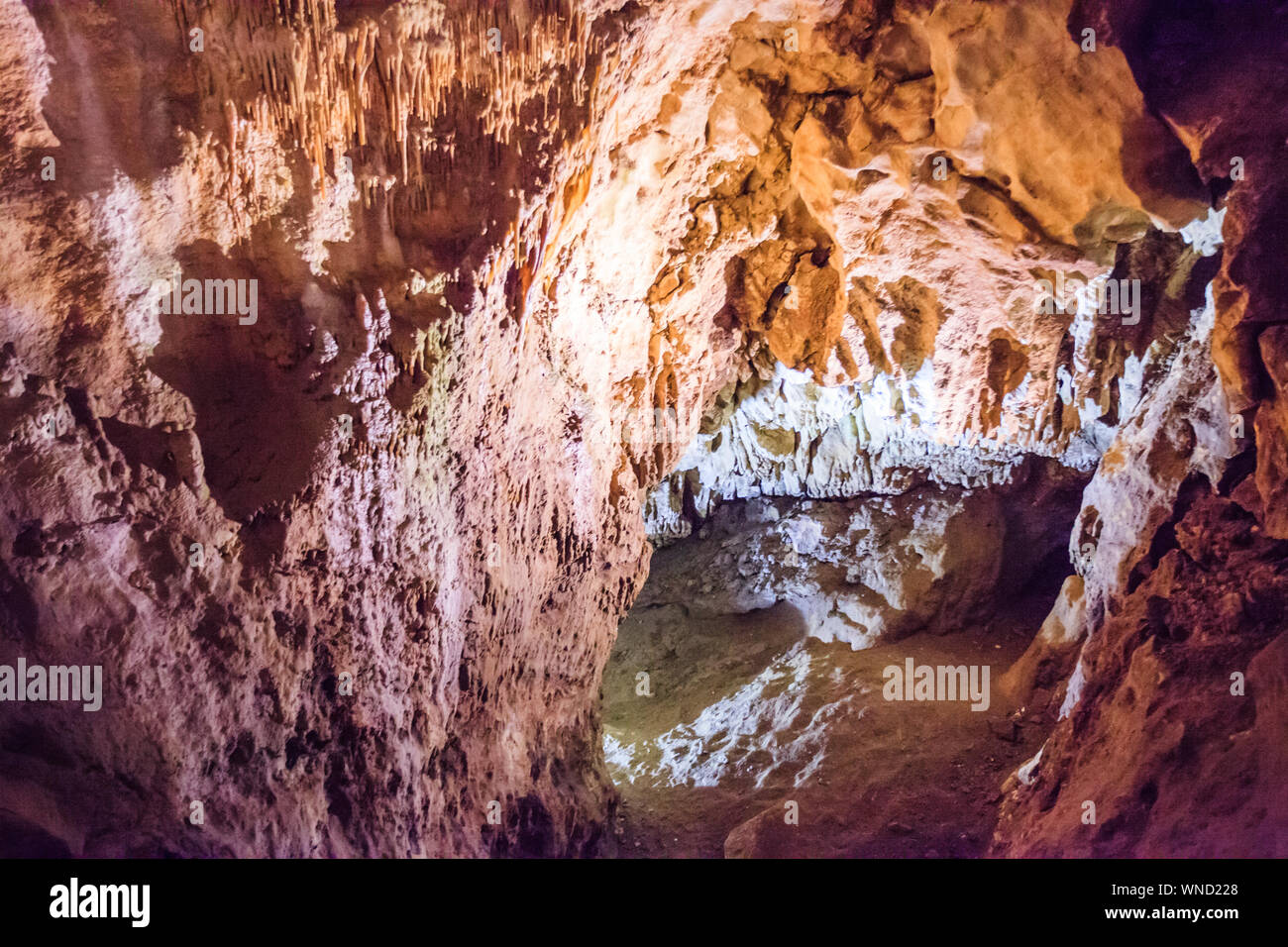 Cave decoration, massive columns of stalagmites and stalactites ...