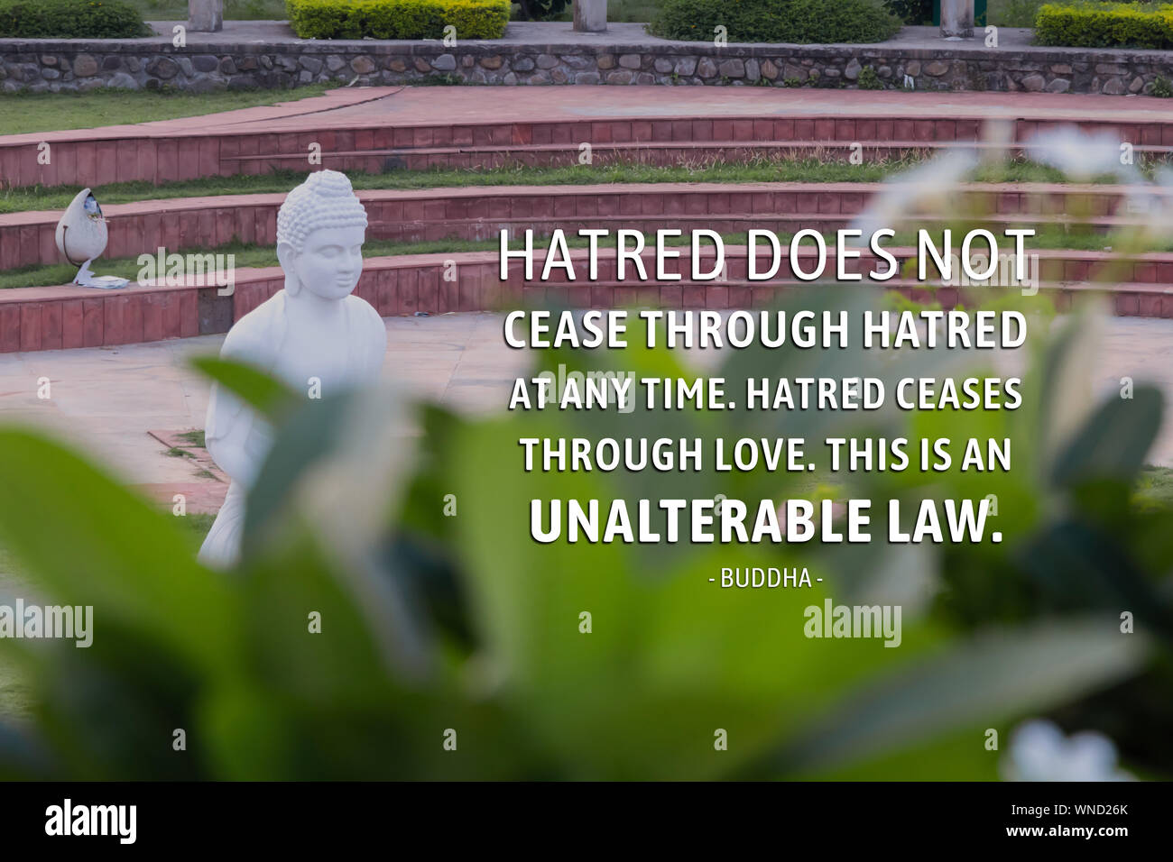 Unalterable hi-res stock photography and images - Alamy