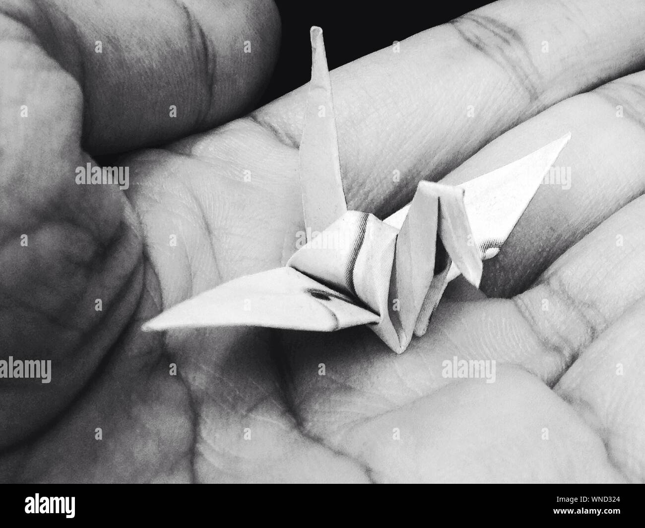One person origami hi-res stock photography and images - Alamy