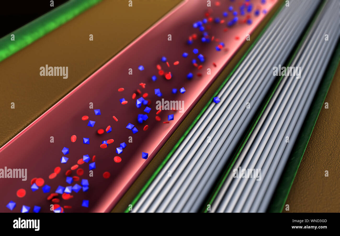 nerve cell structure, nerve cross-sectional, scheme nerve Stock Photo ...