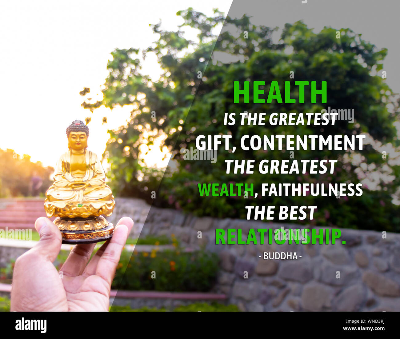 Health Is Wealth Quotes