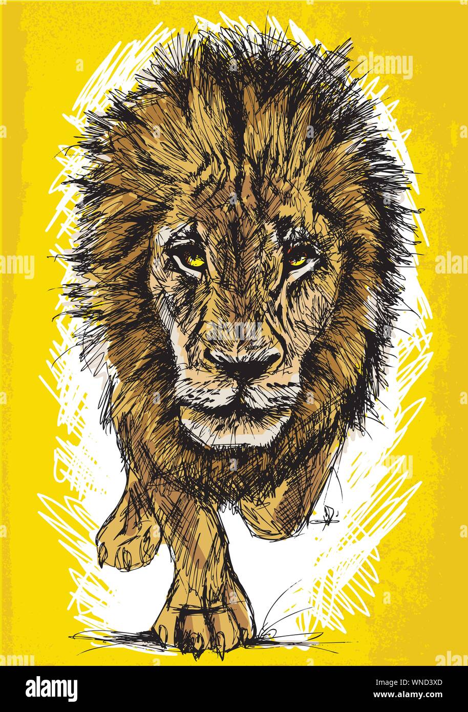 Sketch of a big male African lion Stock Vector Image & Art - Alamy
