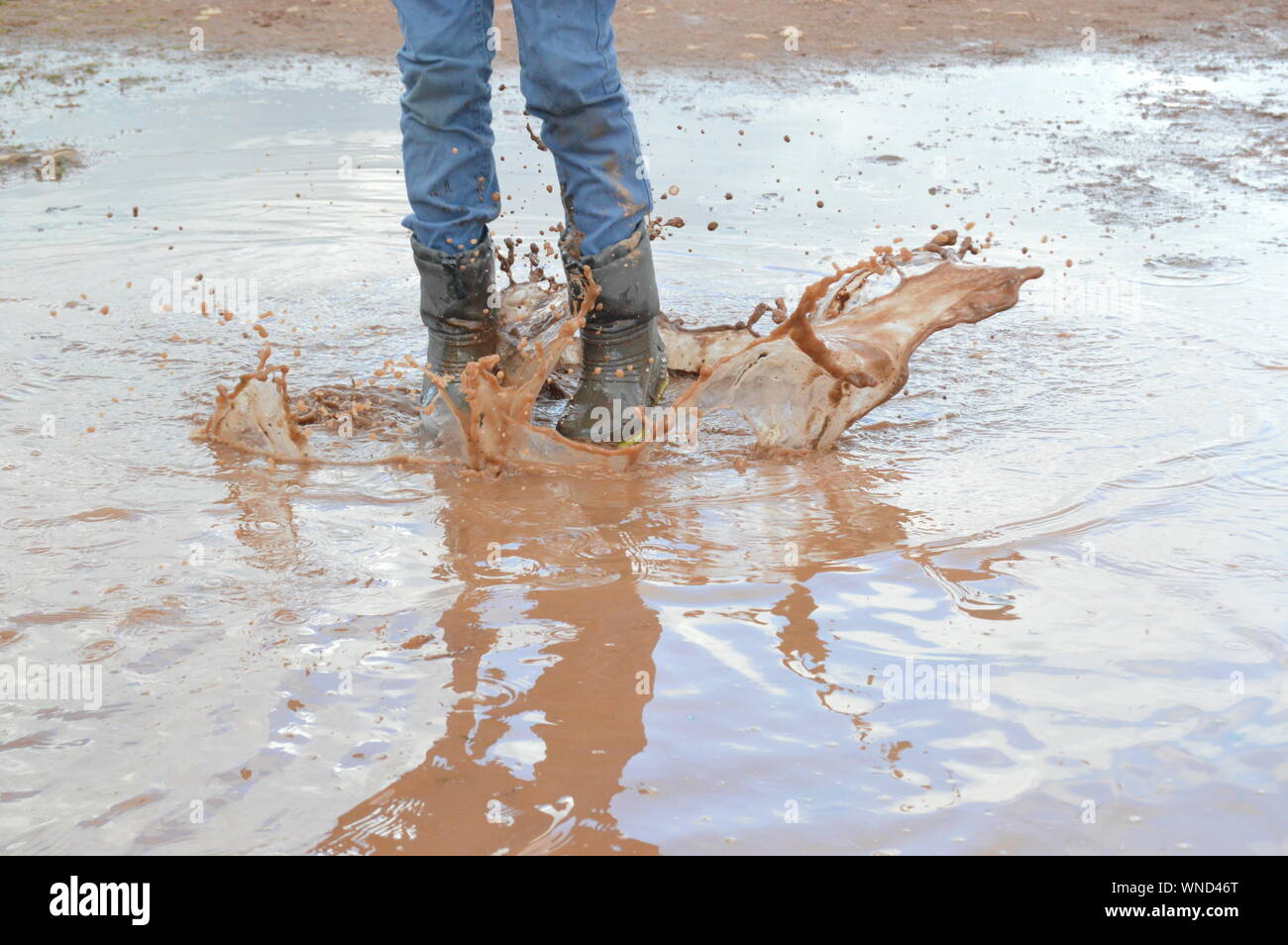Muddy puddle reflection hi-res stock photography and images - Alamy
