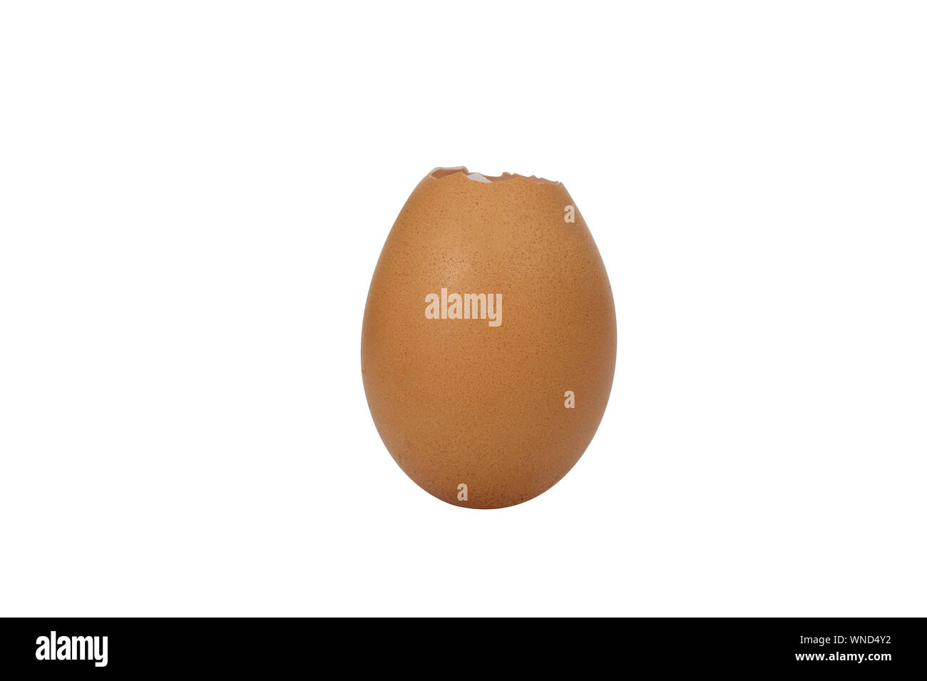 Empty brown egg shells on hi-res stock photography and images - Alamy
