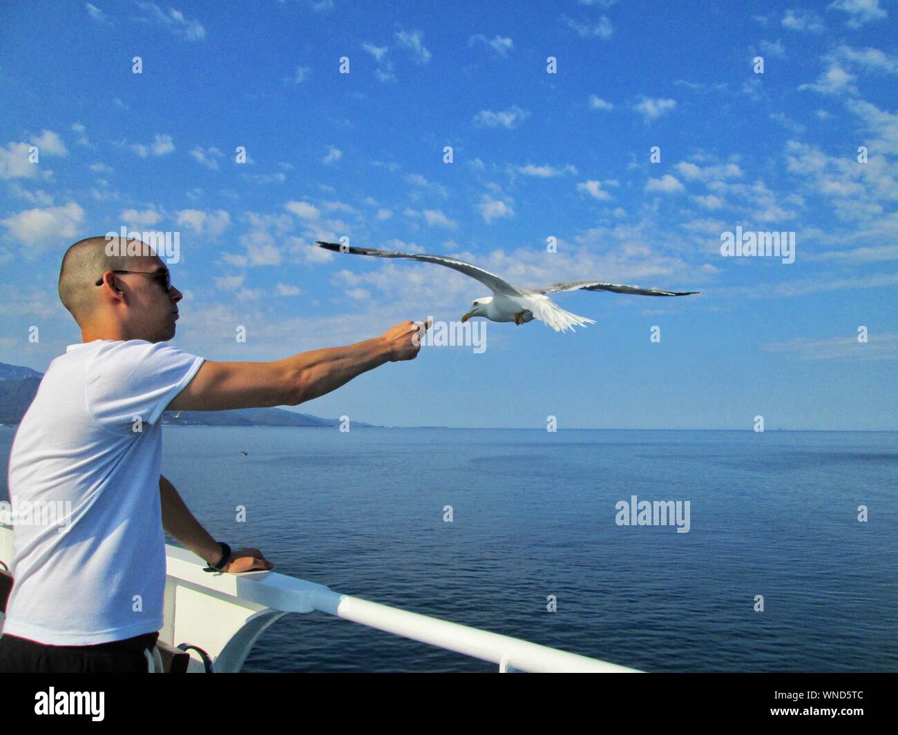 Flying man wings hi-res stock photography and images - Alamy