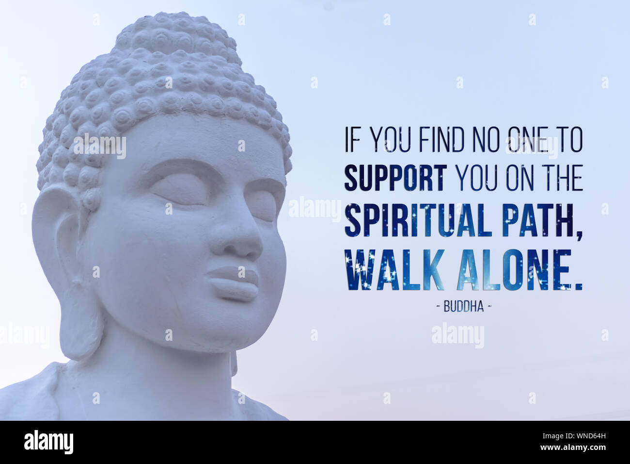If you find no one to support you on the spiritual path, walk alone ...